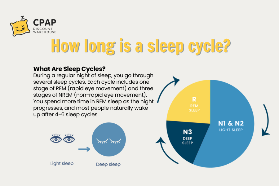 How Long Is a Sleep Cycle? 4 Phases of the Sleep cycle